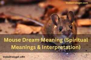 Mouse Dream Meaning (Spiritual Meanings & Interpretation)