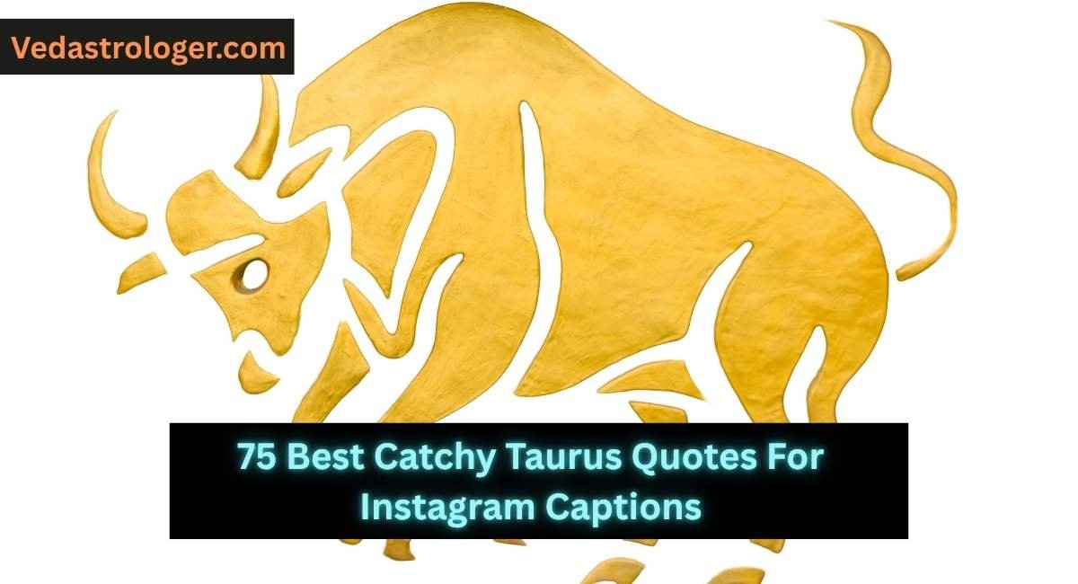 Best Catchy Taurus Quotes For Instagram Captions